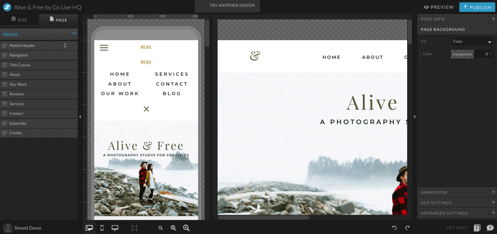 What is Showit and How to Use It • Michelle Gifford Creative
